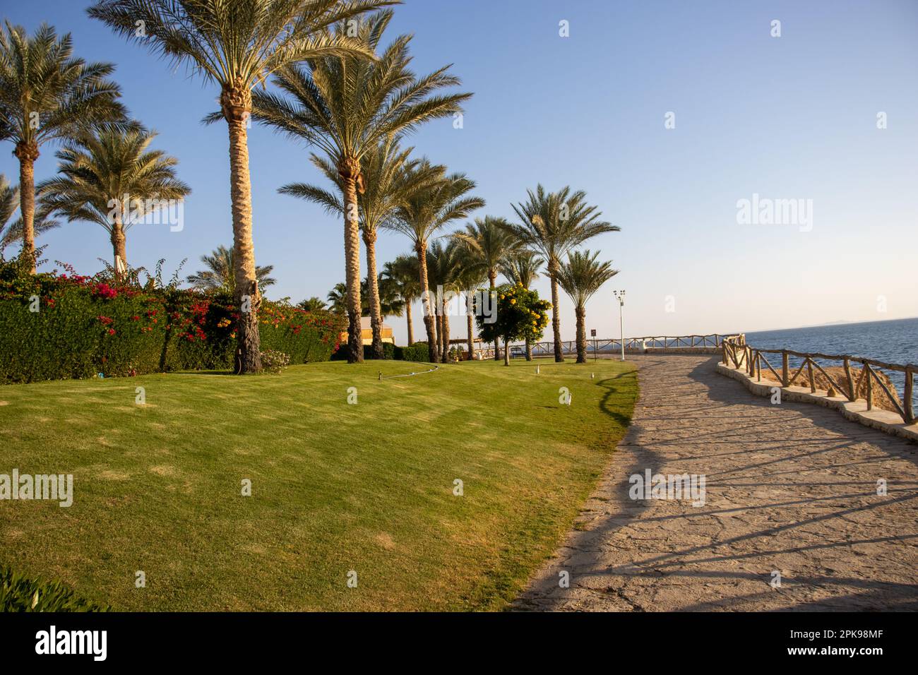 SHARM EL SHEIKH, EGYPT - JANUARY 27, 2023 Labranda Sharm Club garden ...