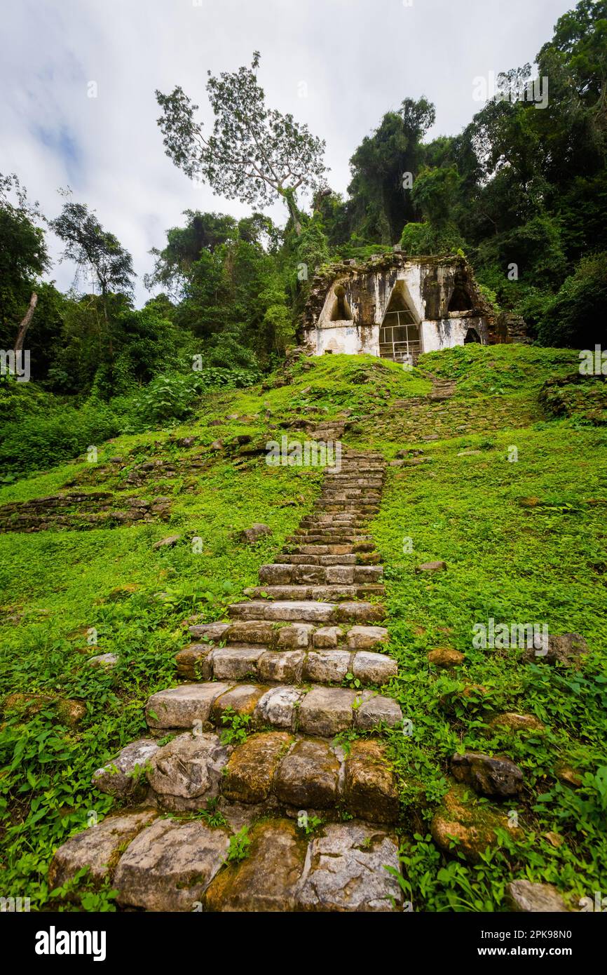 Beautiful pyramids in Palenque archeological site in Mexico. Vivid ...