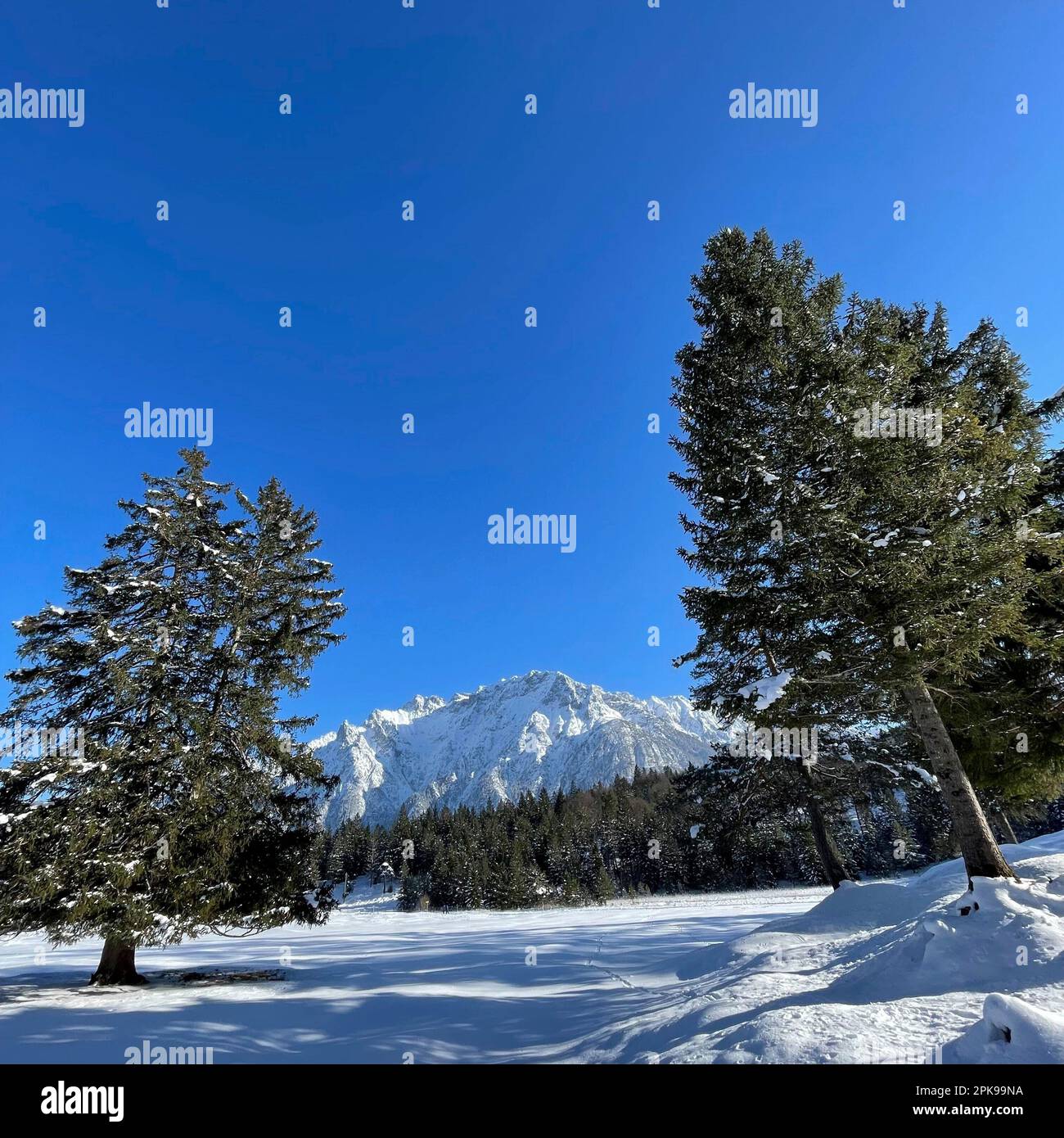 Winter landscape at Lautersee in Mittenwald, view to Karwendel ...