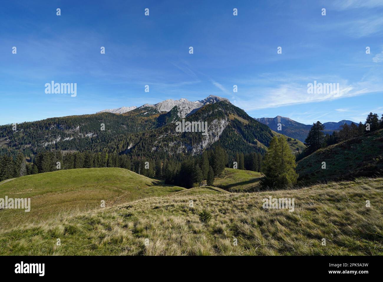 Austria, province of Salzburg, Pinzgau, Weißbach nature park ...