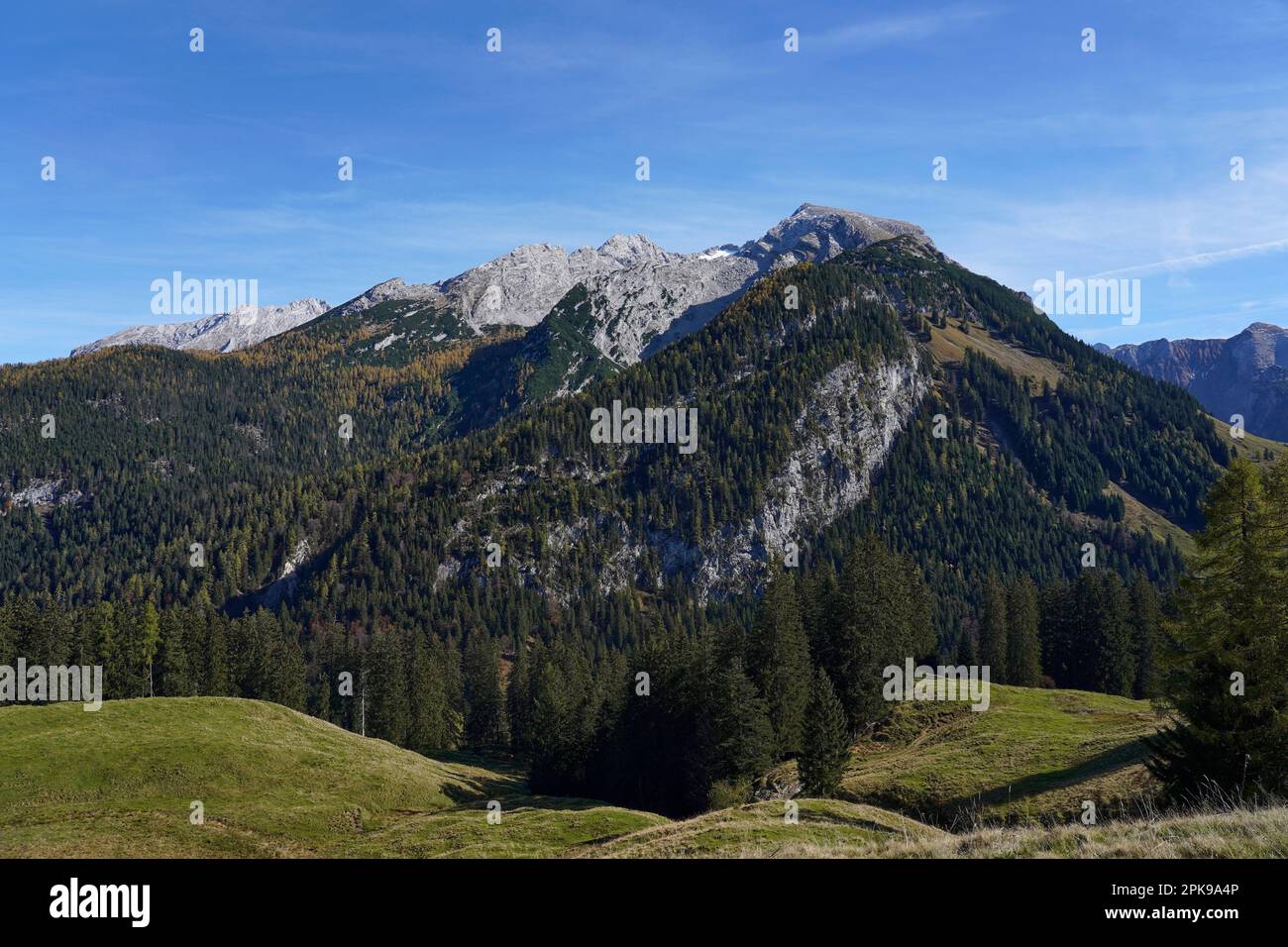Austria, province of Salzburg, Pinzgau, Weißbach nature park ...