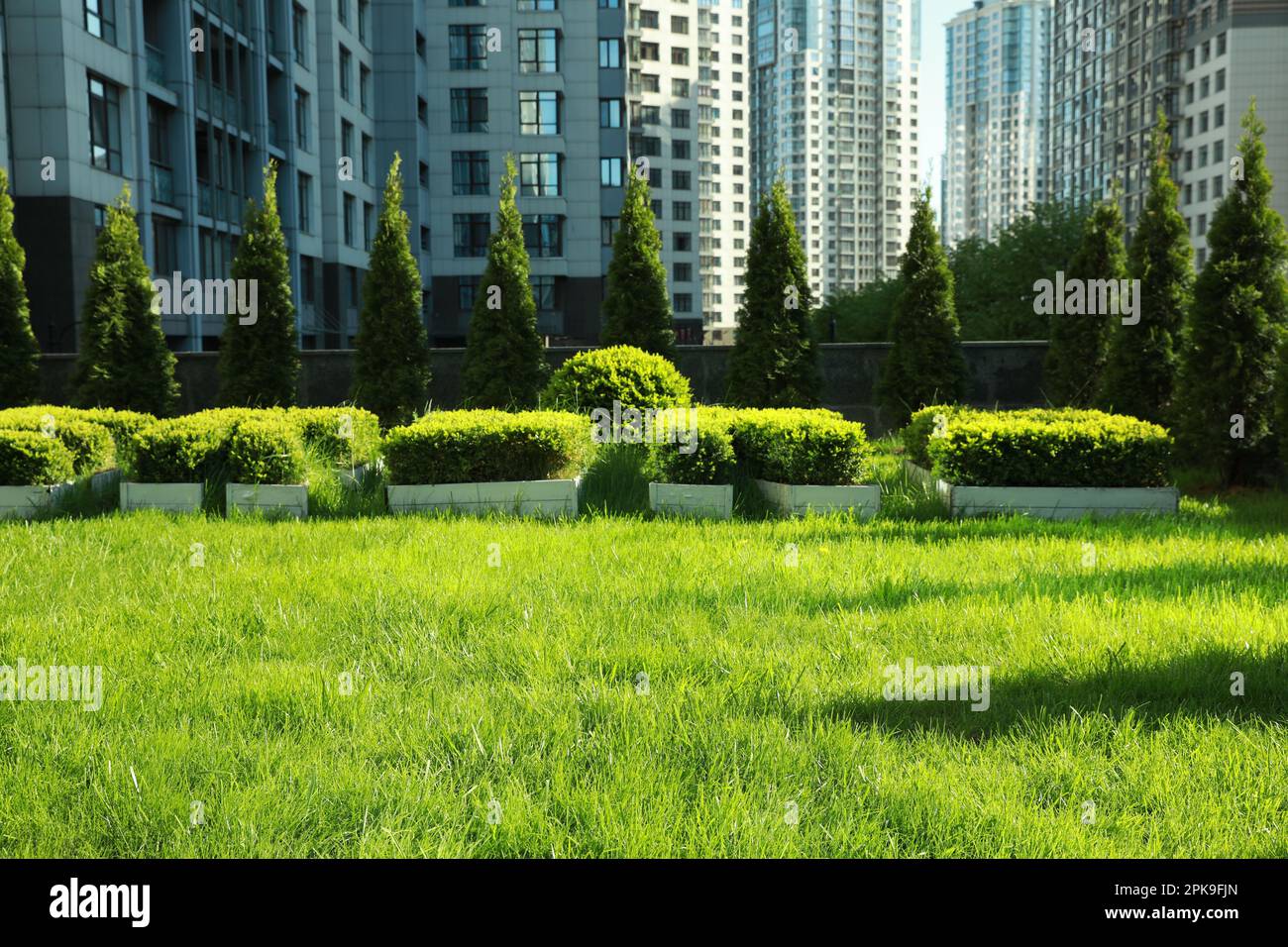 Beautiful view of fresh green grass growing near modern housing estate ...