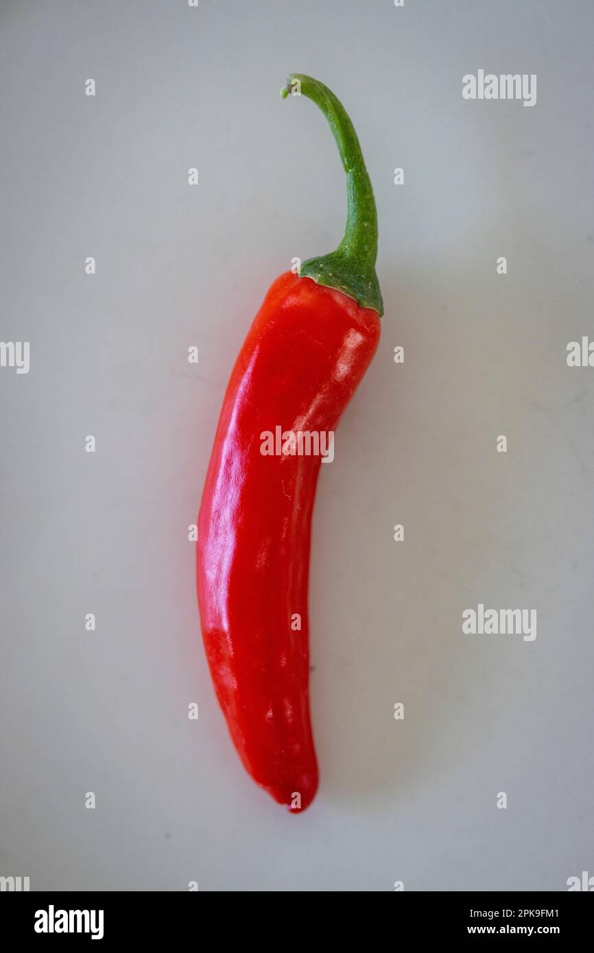 A single red chili pepper Stock Photo - Alamy