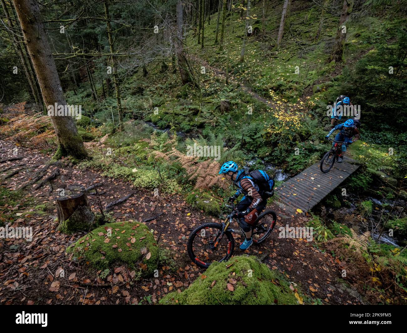 High bridge trail hi-res stock photography and images - Alamy
