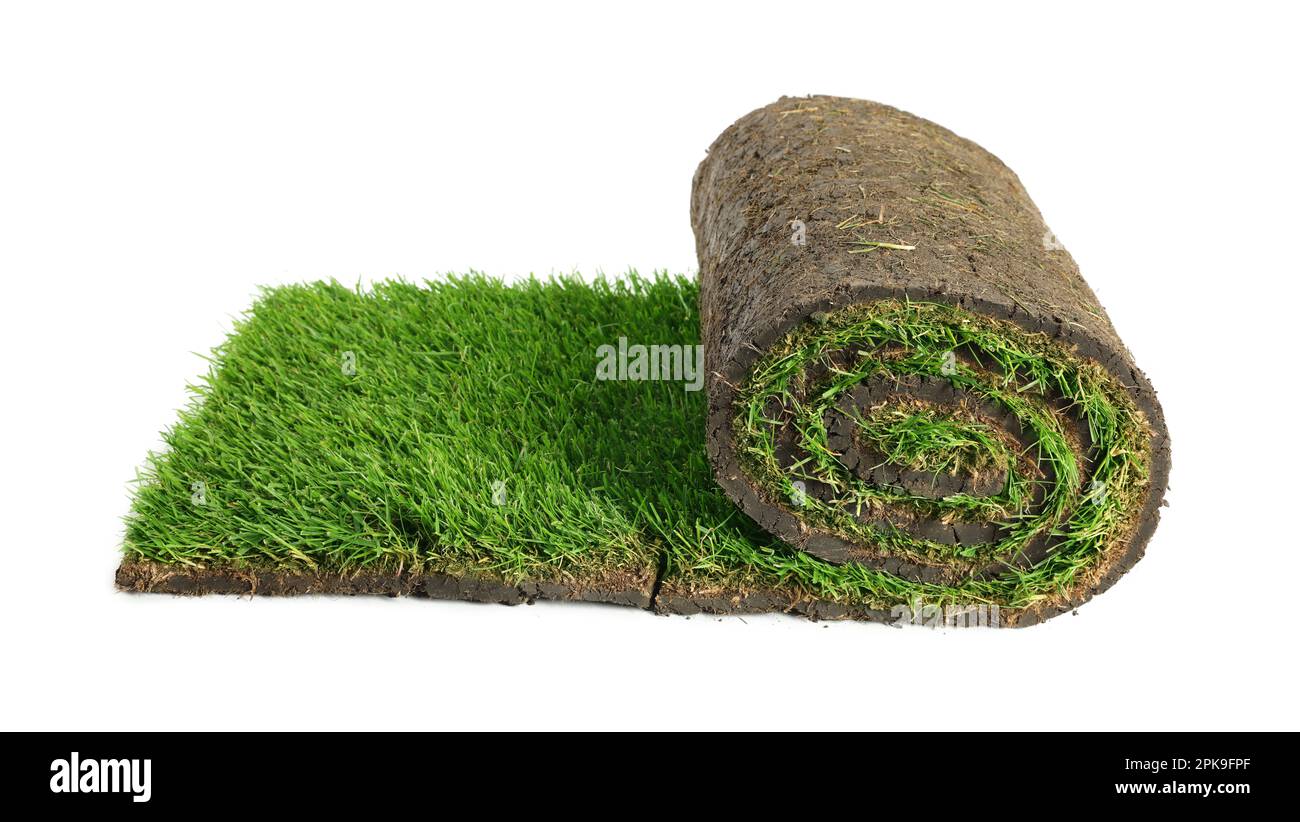 Rolled sod with grass on white background Stock Photo - Alamy