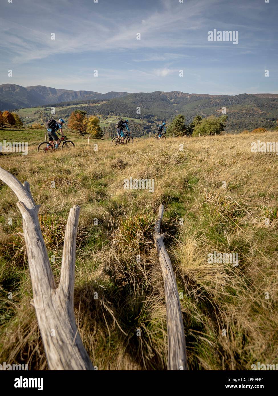 Schratzmaennle hi-res stock photography and images - Alamy