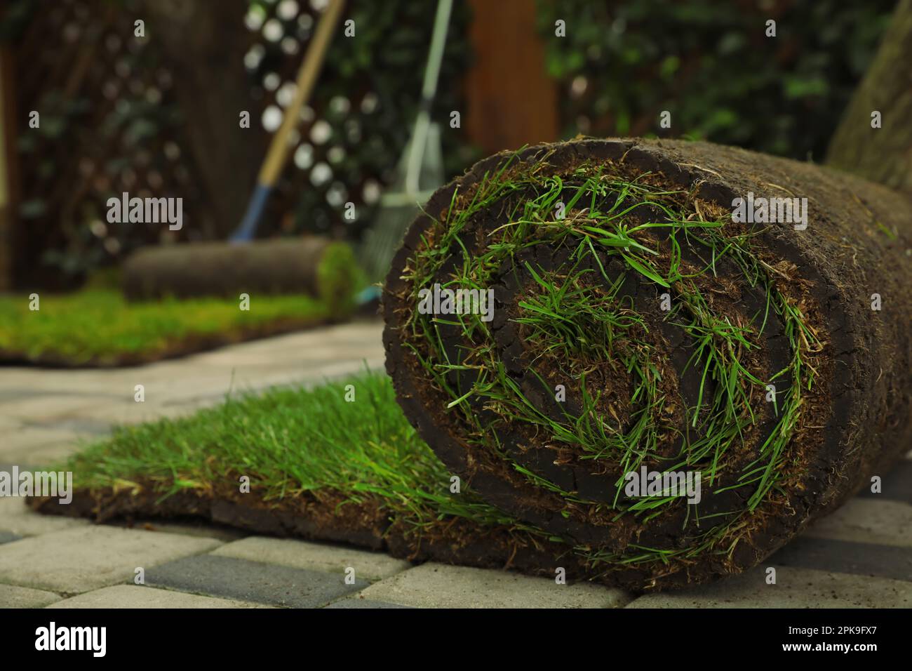 Rolled grass sod on pavement at backyard, closeup. Space for text Stock ...