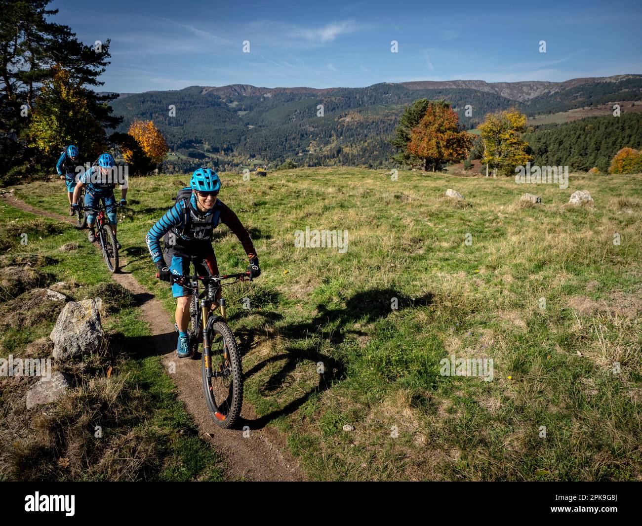 Mountain biker on single trail in the High Vosges. Mountain pasture ...