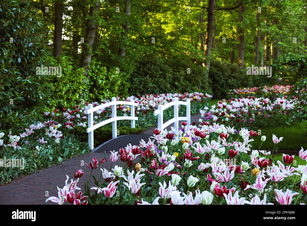 Park with beautiful flowers and bridge over canal. Spring season Stock ...