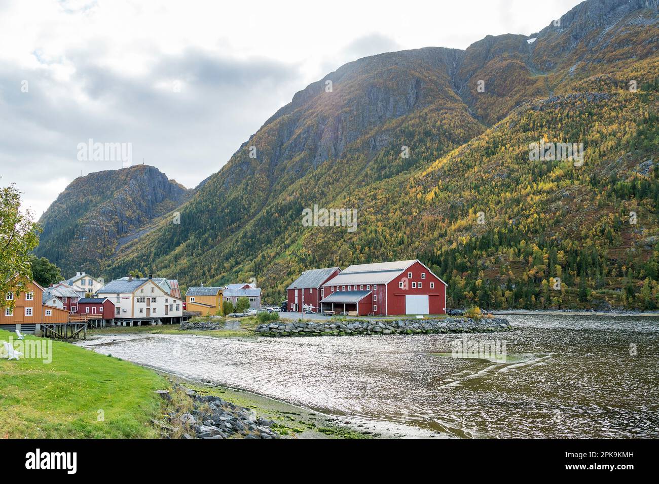 Norway, Mosjoen, town by Vefsnfjord, Tortenvika Bay Stock Photo - Alamy