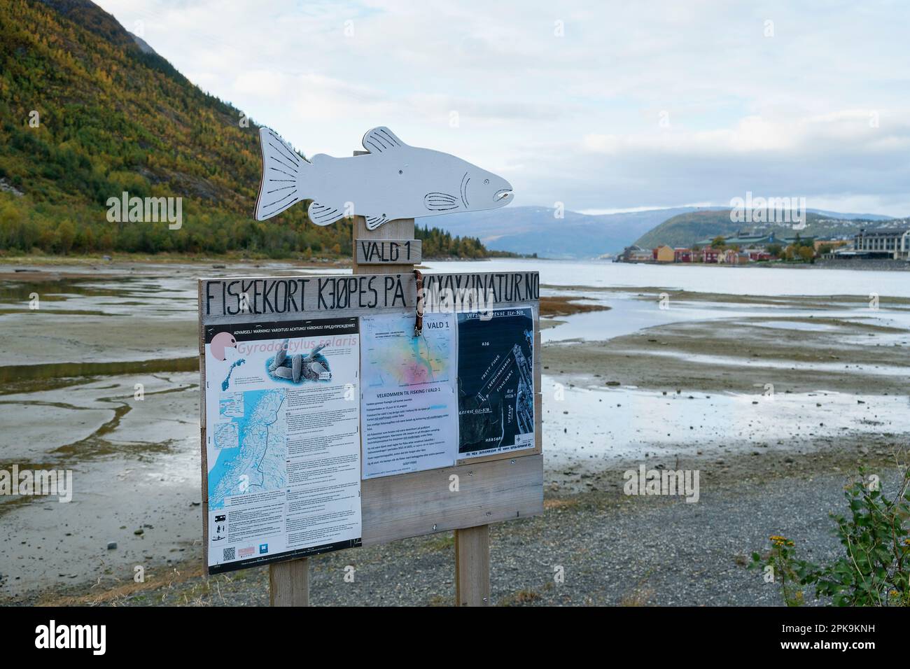 Norway, Mosjoen, Vefsnfjord, notice "Fiskekort", symbol fish Stock ...