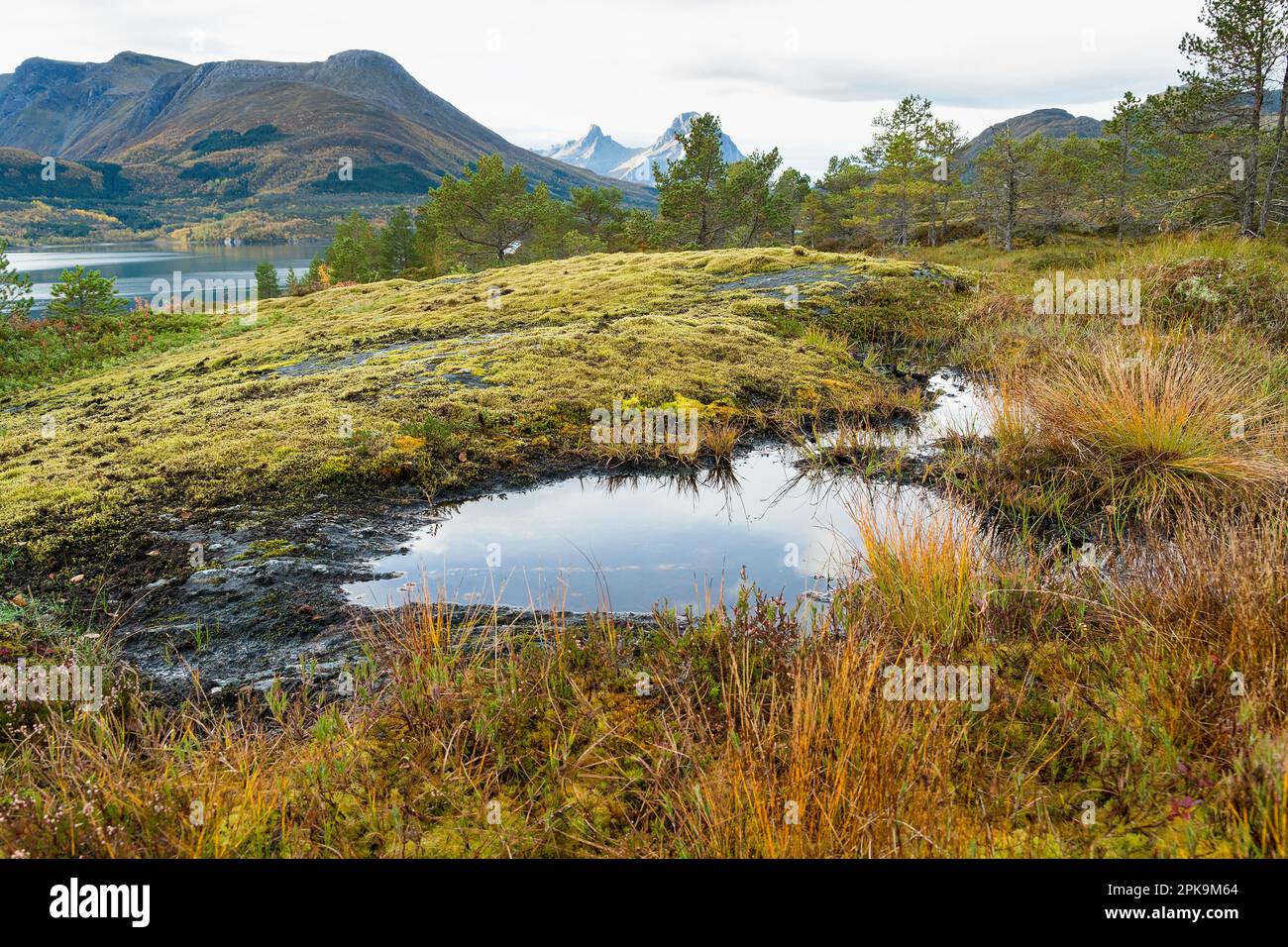 Norway, Atlantic coast at Kystriksveien, fjord landscape near ferry ...
