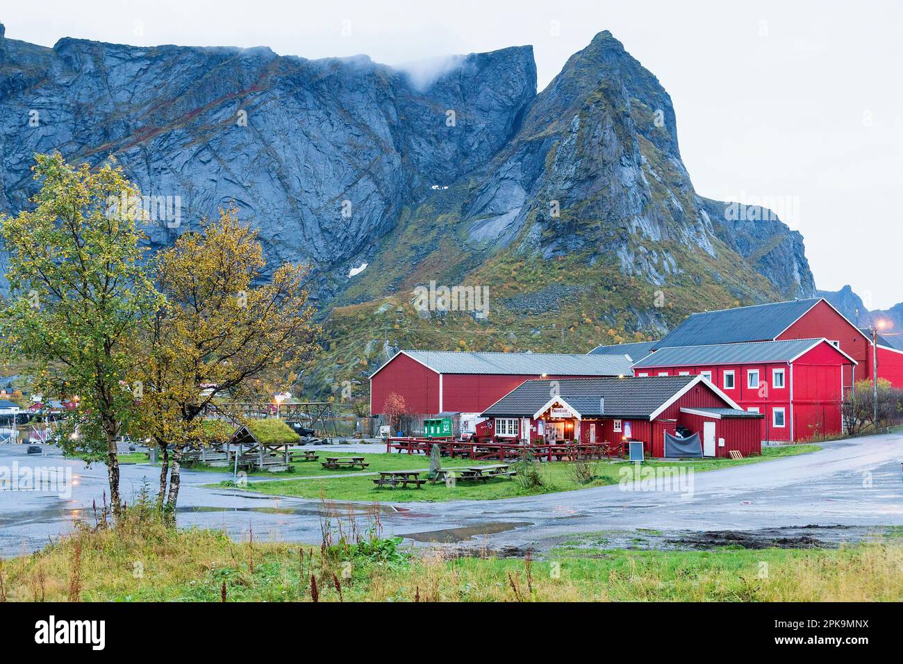 Norway, Lofoten, Moskenesoya, Moskenes, Reine, cabins in typical red ...