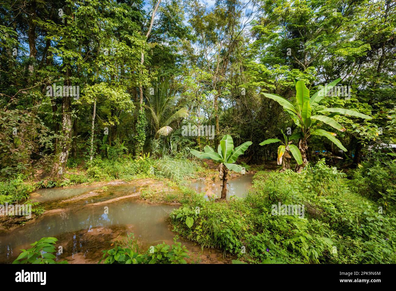 Beautiful landscape of Agua Azul cascades park in Palenque, Mexico ...