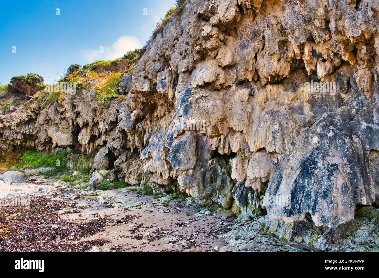 Heavily eroded Tamala limestone along the coast of the Leeuwin ...