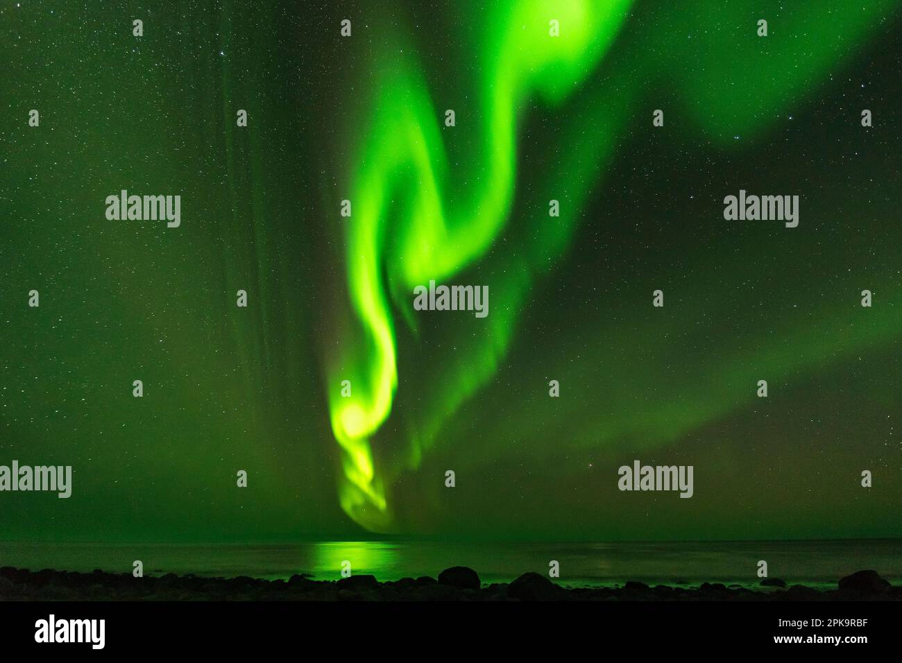 Norway, Lofoten, Vestvagoya, Eggum, wavy aurora over the Atlantic Ocean ...