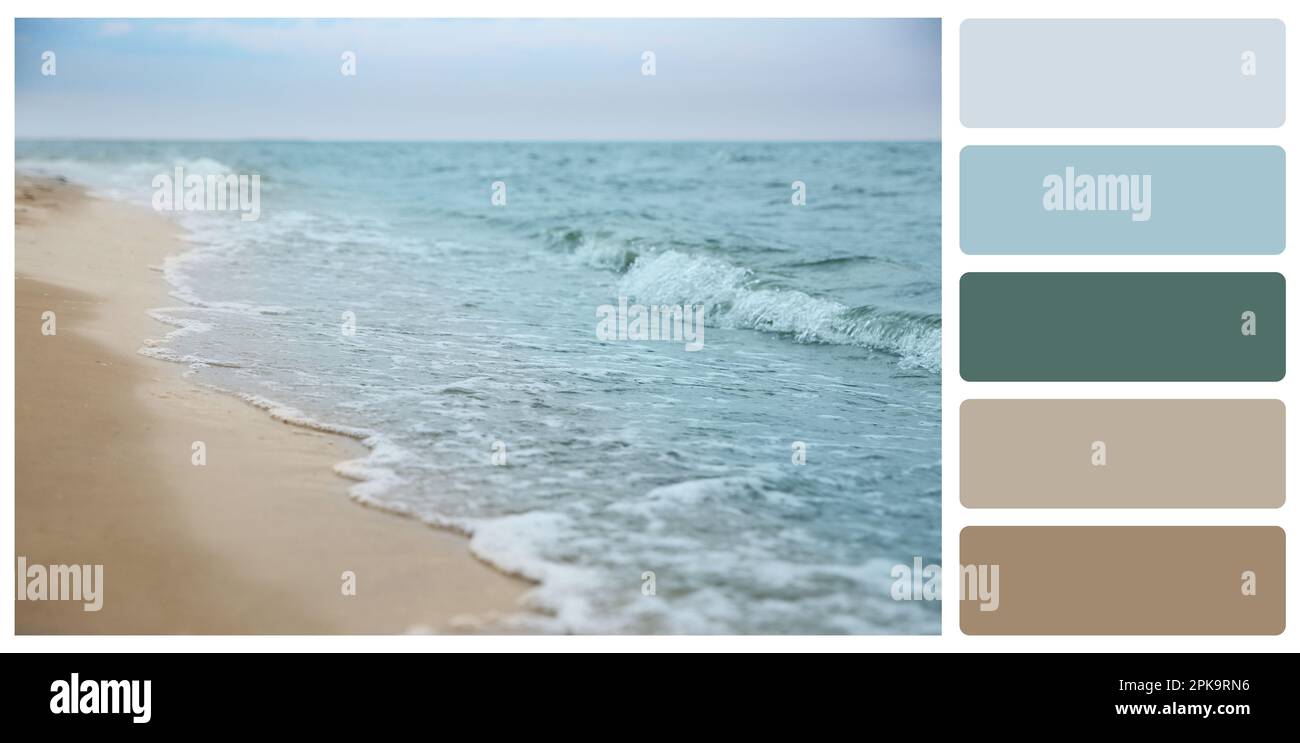 Color palette appropriate to photo of sandy beach and sea Stock Photo ...