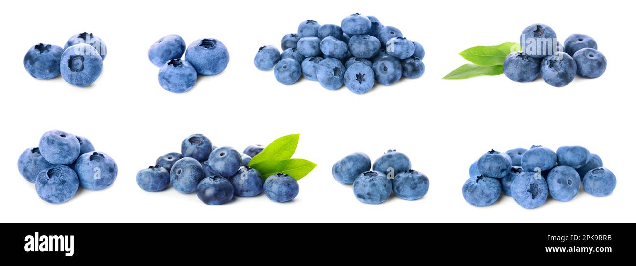 Set with tasty fresh ripe blueberries on white background. Banner ...