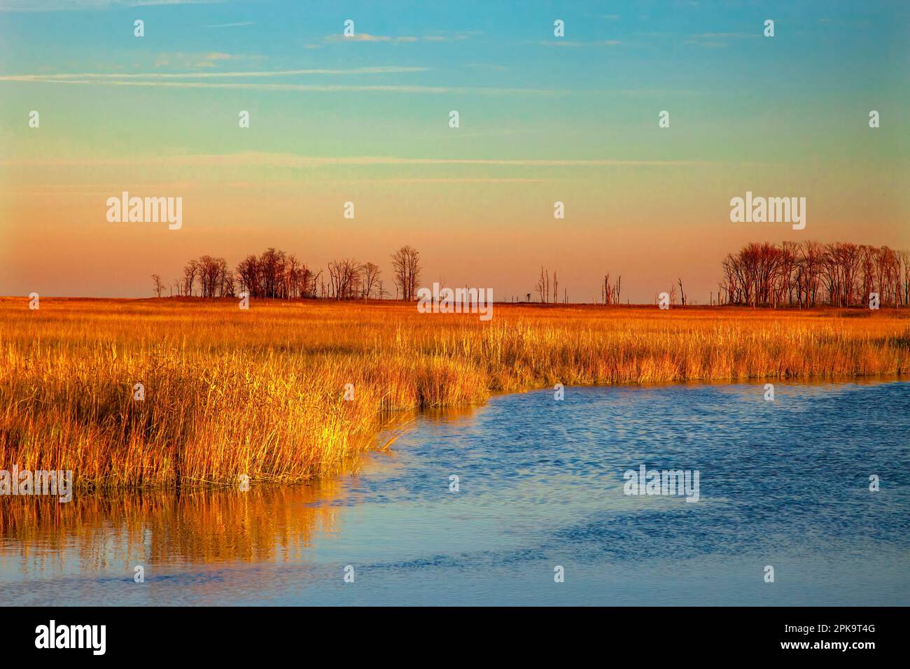Winter Salt Marsh At Bombay Hook National Wildlife Refuge, Delaware ...