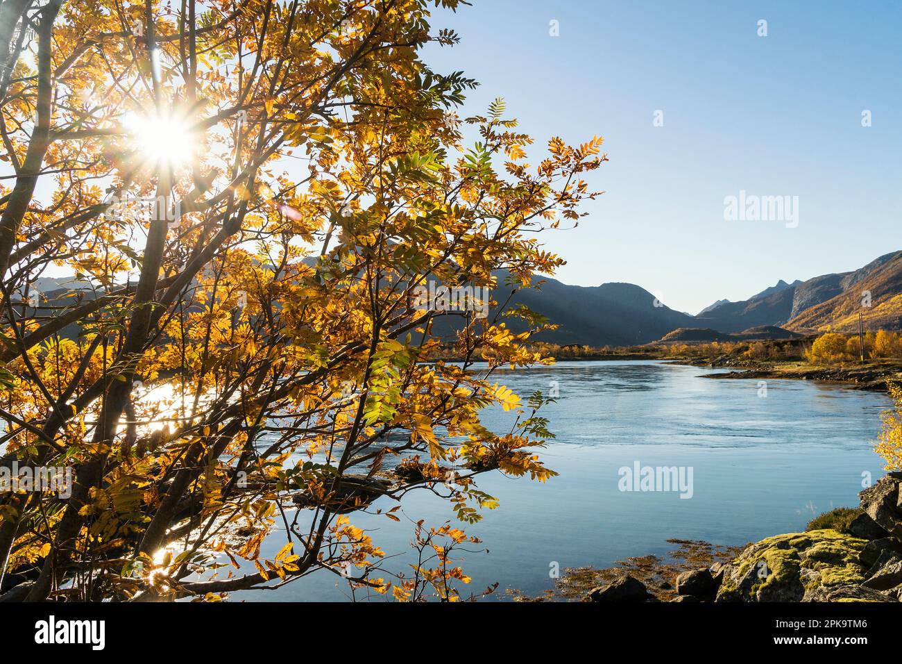 Norway, Lofoten, autumn fjord landscape near Svolvær Stock Photo - Alamy