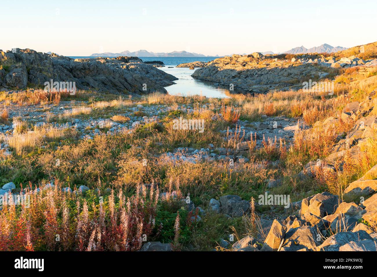 Norway, Lofoten, Austvagoya, fishing village Laukvik, archipelago coast ...
