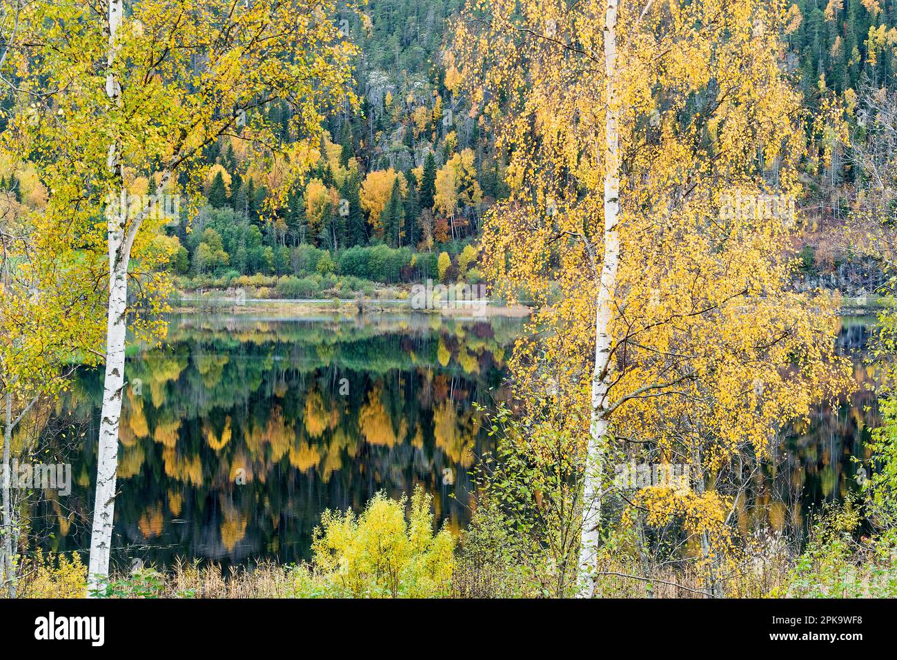 Sweden, Norrbottens Län, lake, reflection, autumn atmosphere Stock ...