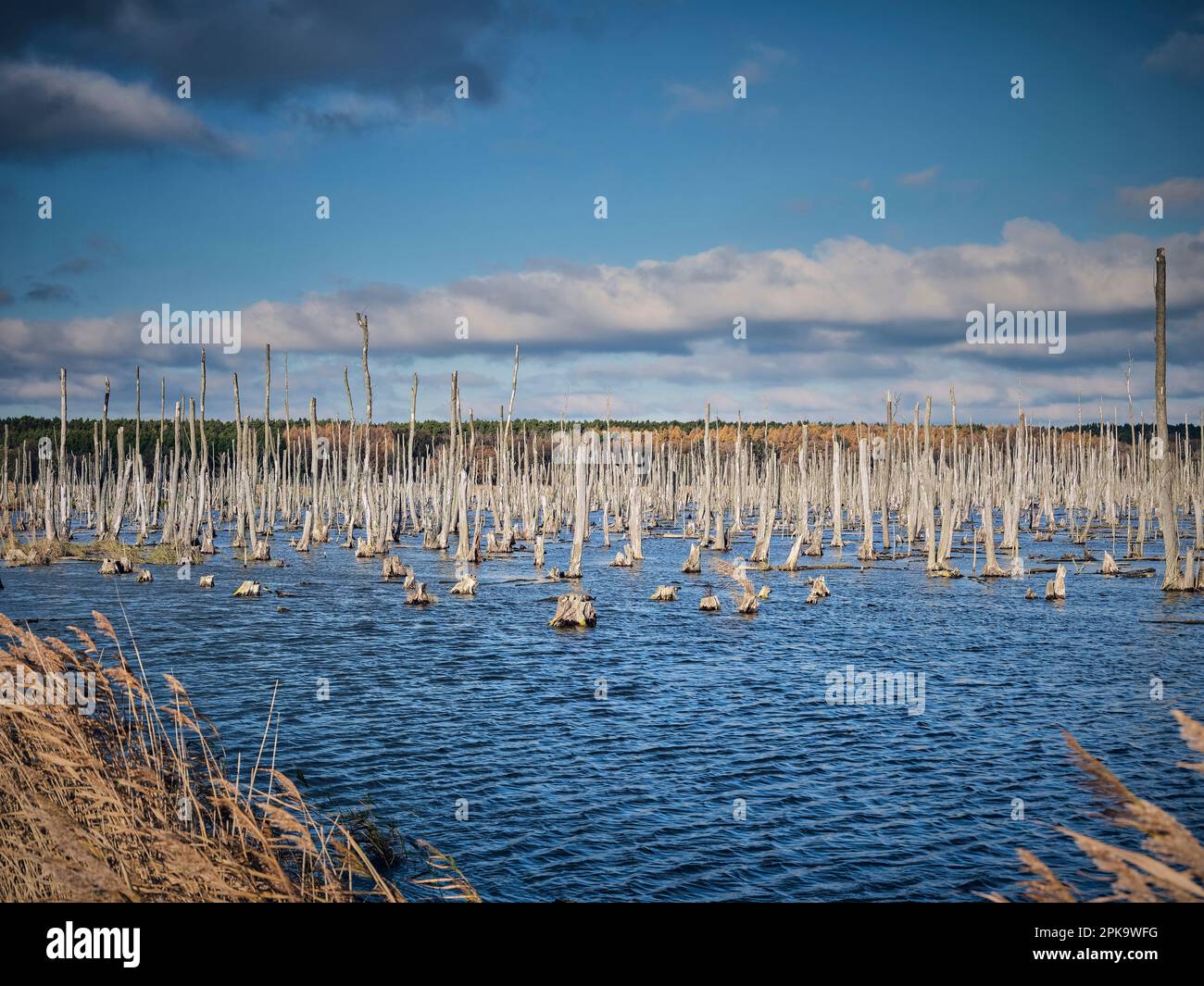 Skeleton bay reserve hi-res stock photography and images - Alamy
