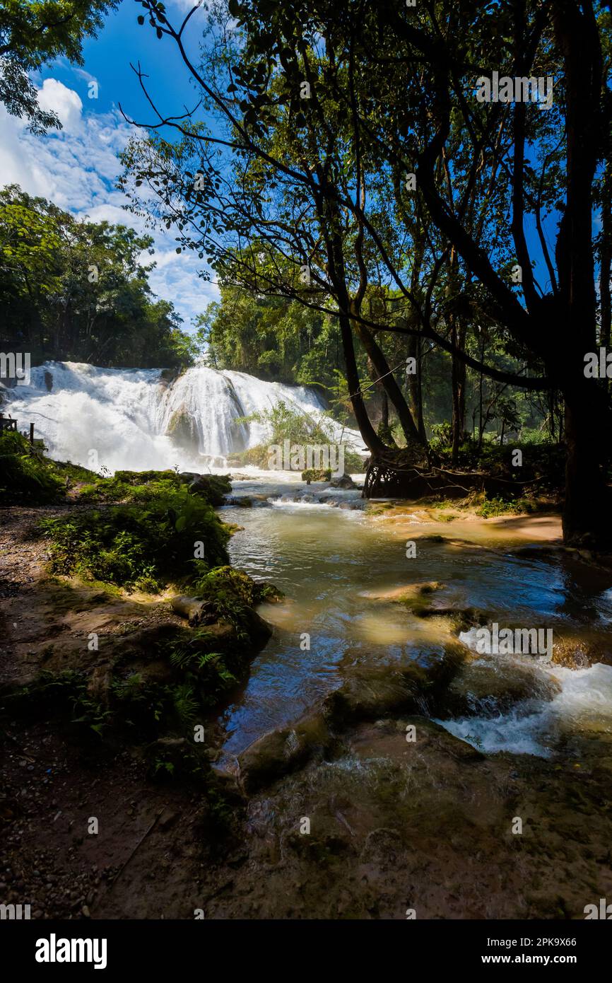 Beautiful landscape of Agua Azul cascades park in Palenque, Mexico ...