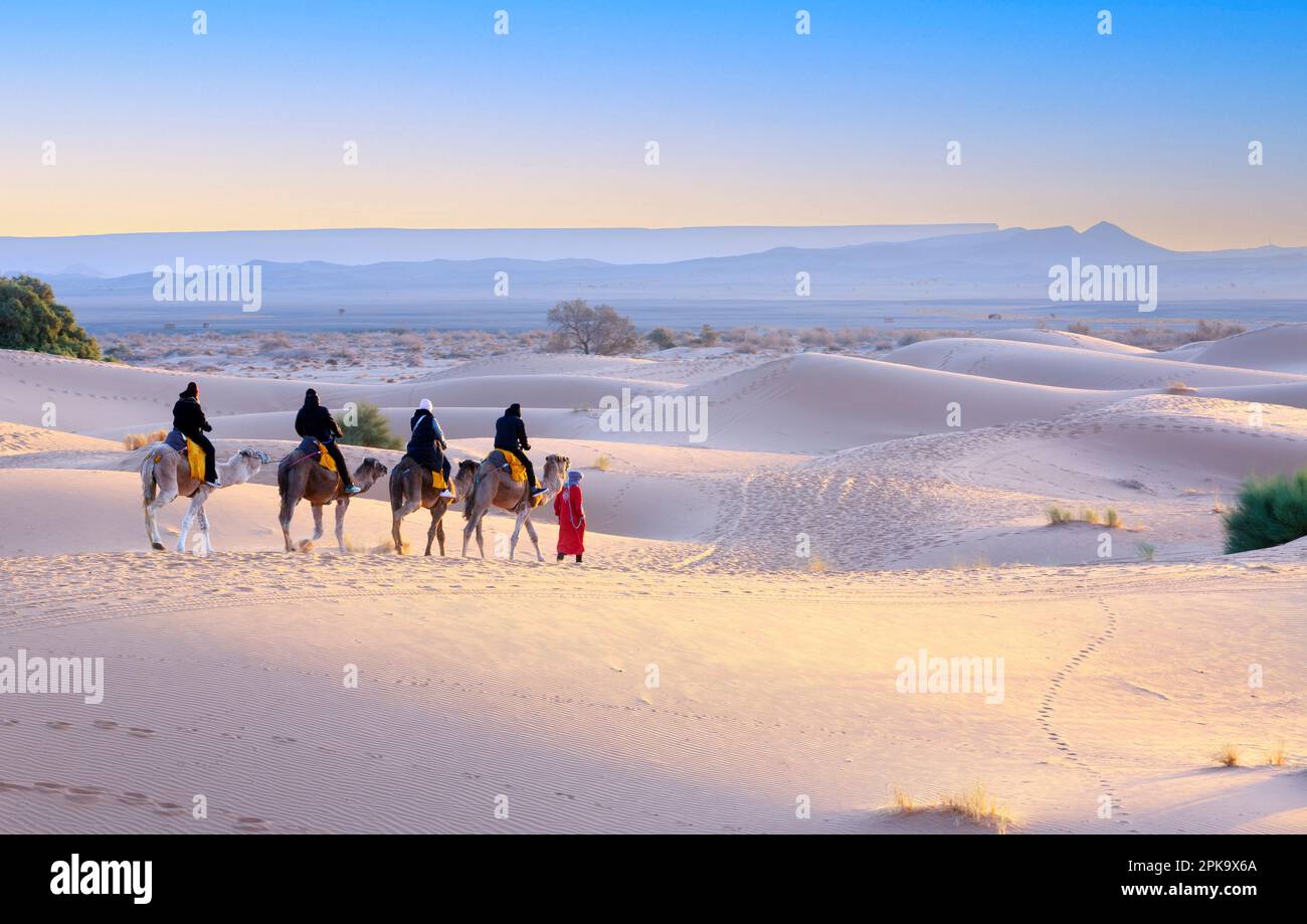 Sahara desert camel trekking tour with berber adventure dromadaires ...