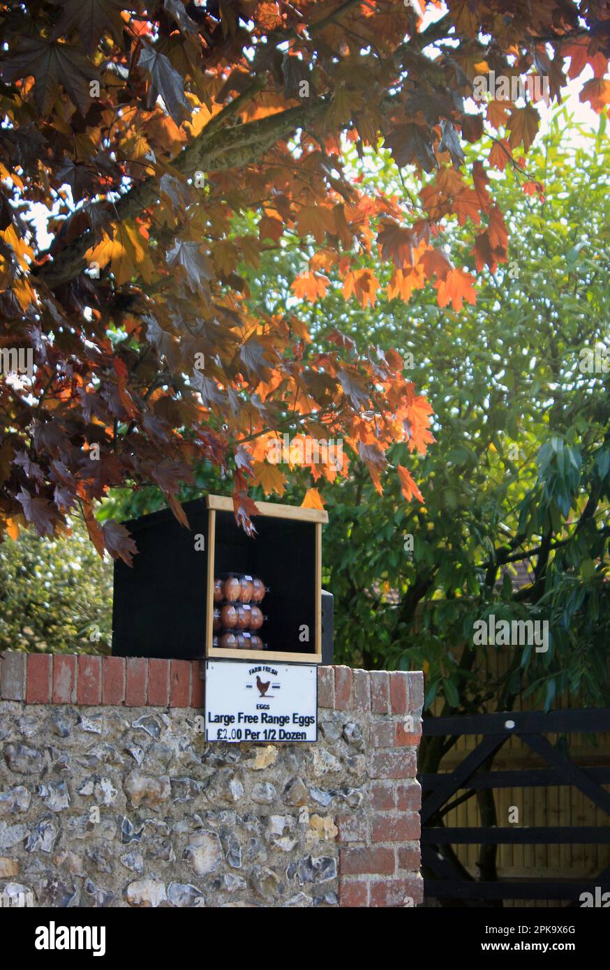 Honor system hi-res stock photography and images - Alamy