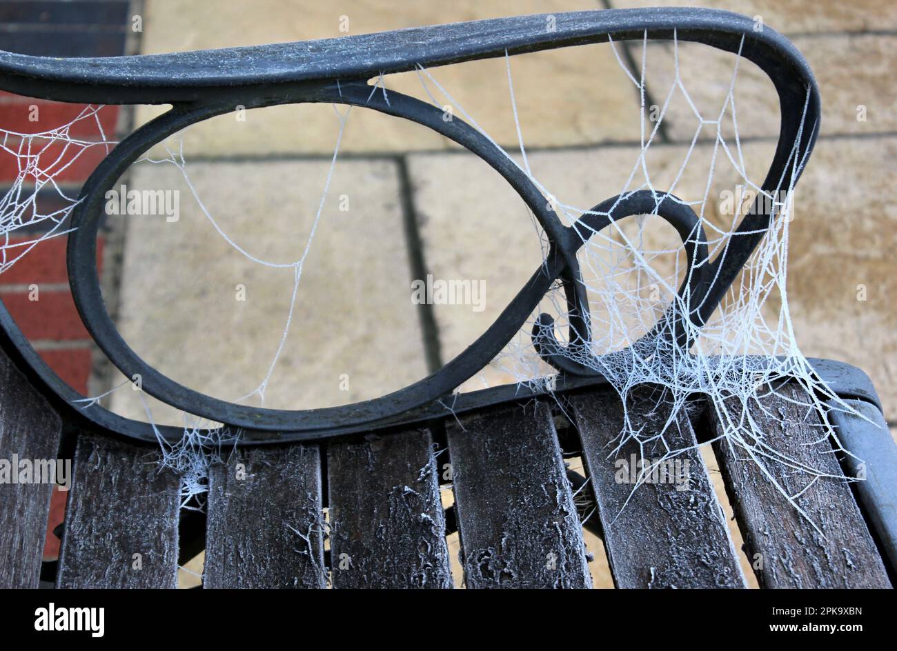 January frost covered spiders web on ornamental seat Stock Photo - Alamy