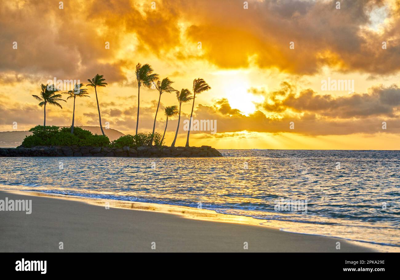 Sunrise on the Beach in Hawaii Stock Photo - Alamy