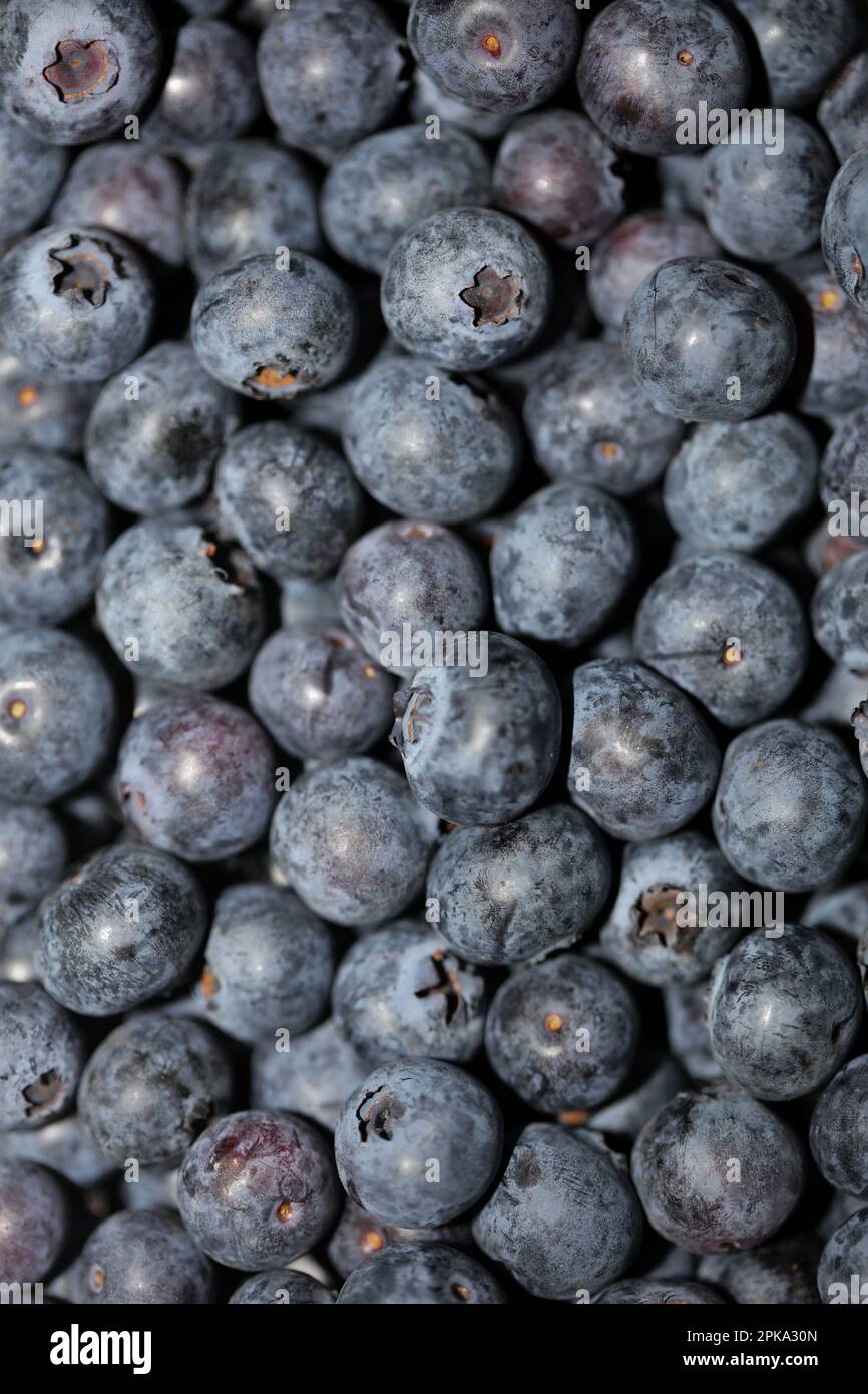 Fresh blueberries background top view concept of healthy and dieting ...