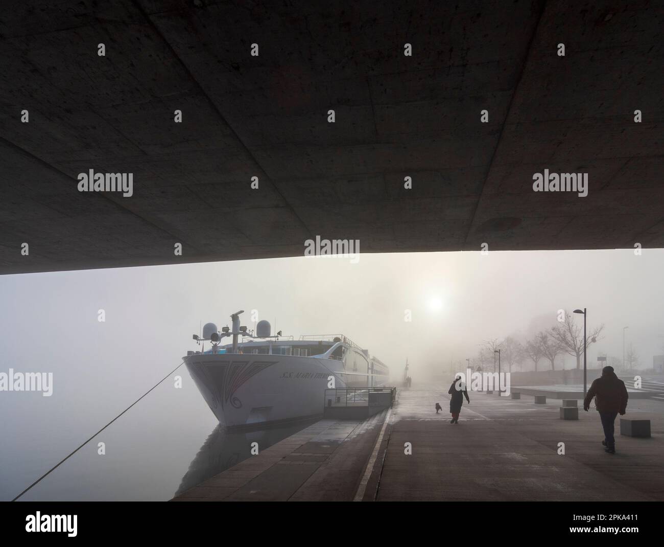 Vienna, mist at river Donau (Danube), bridge Reichsbrücke, cruise ship ...