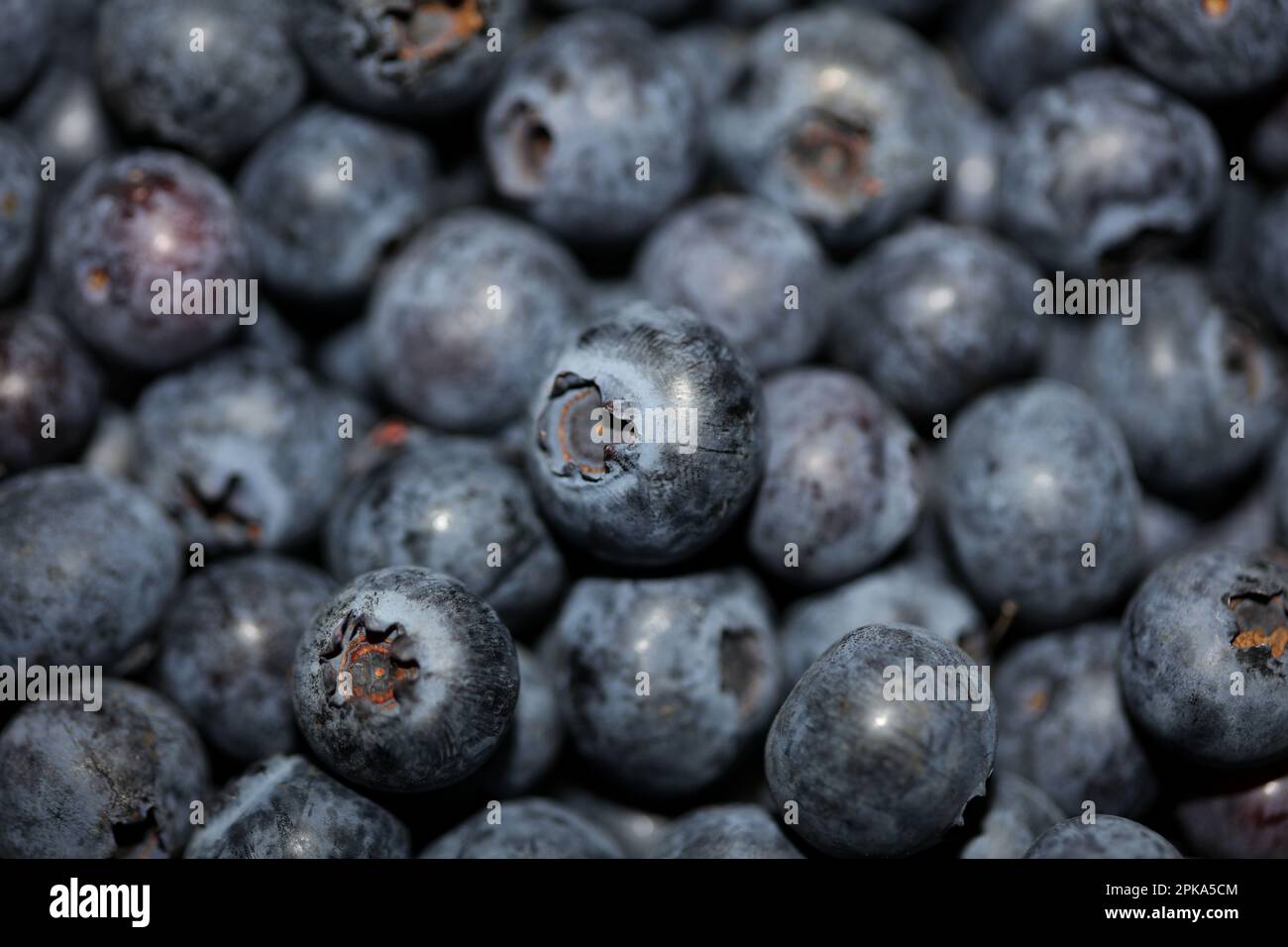 Fresh blueberries background top view concept of healthy and dieting ...
