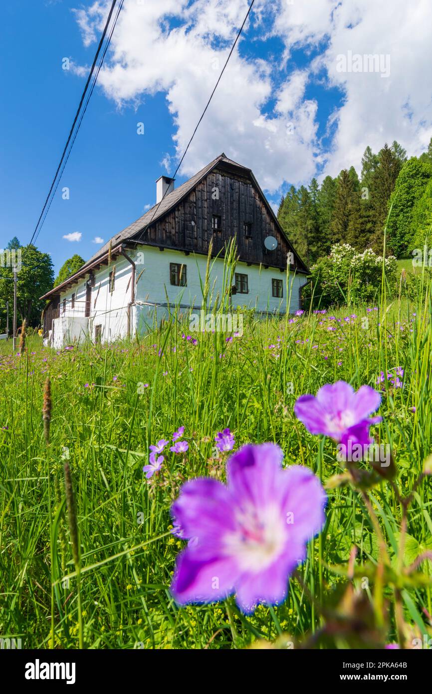 Mala moravka klein mohrau hi-res stock photography and images - Alamy