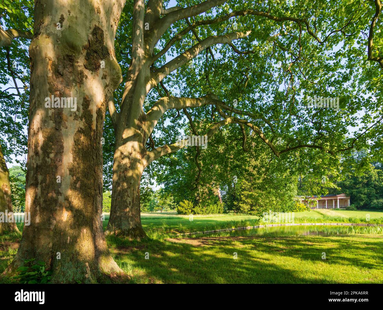 Colonnades in zlinsky hi-res stock photography and images - Alamy