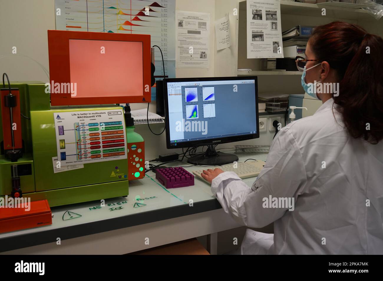 Research on chronic bacterial infections within Inserm. PhD student ...