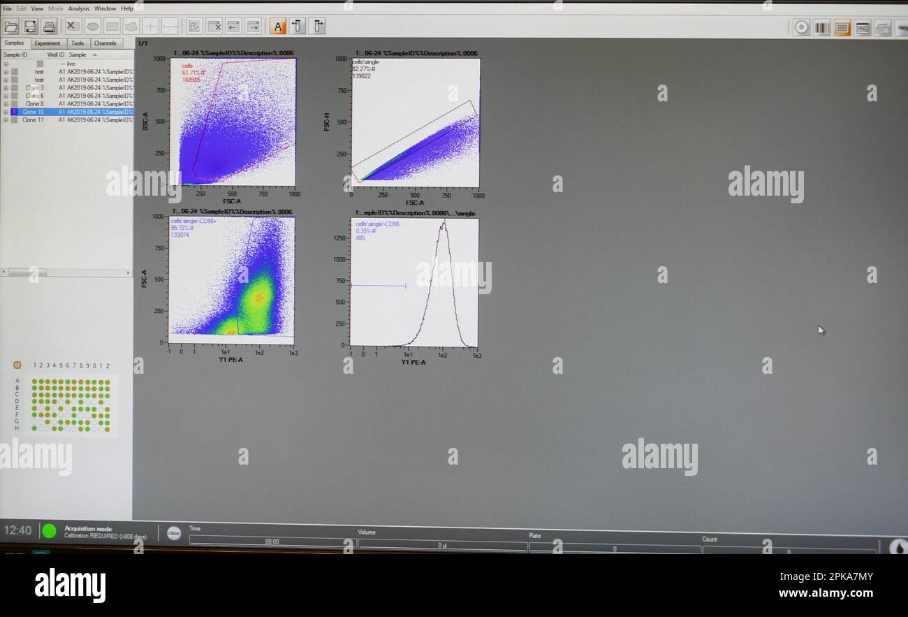 Research on chronic bacterial infections within Inserm. PhD student ...