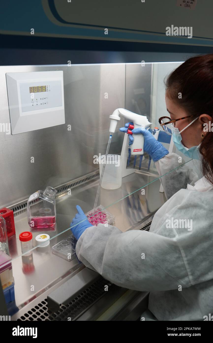 Research on chronic bacterial infections within Inserm. PhD student ...