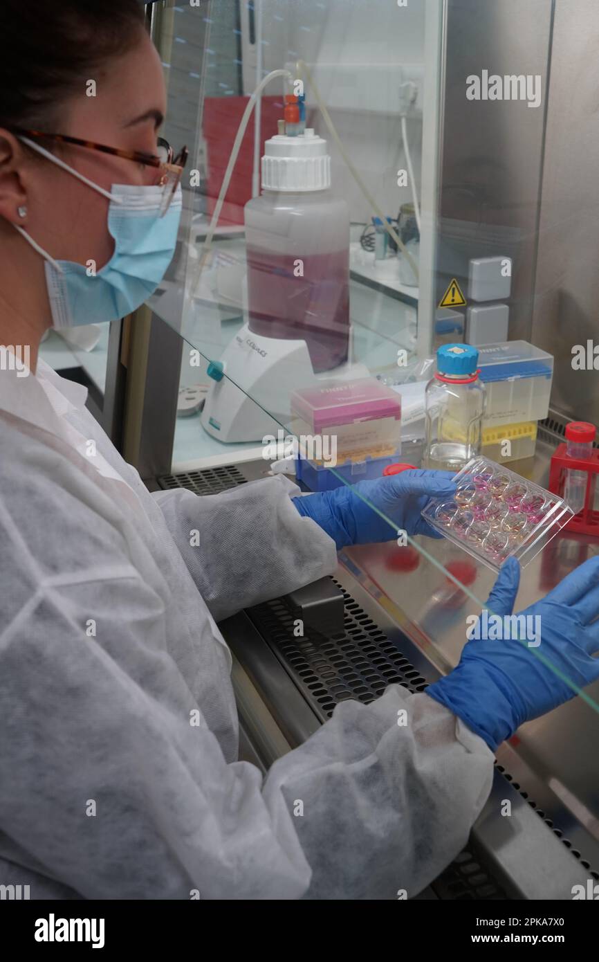 Research on chronic bacterial infections within Inserm. PhD student ...