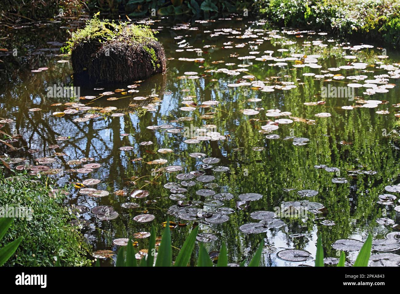 Villa Wolkonsky, the official residence of the British ambassador to ...