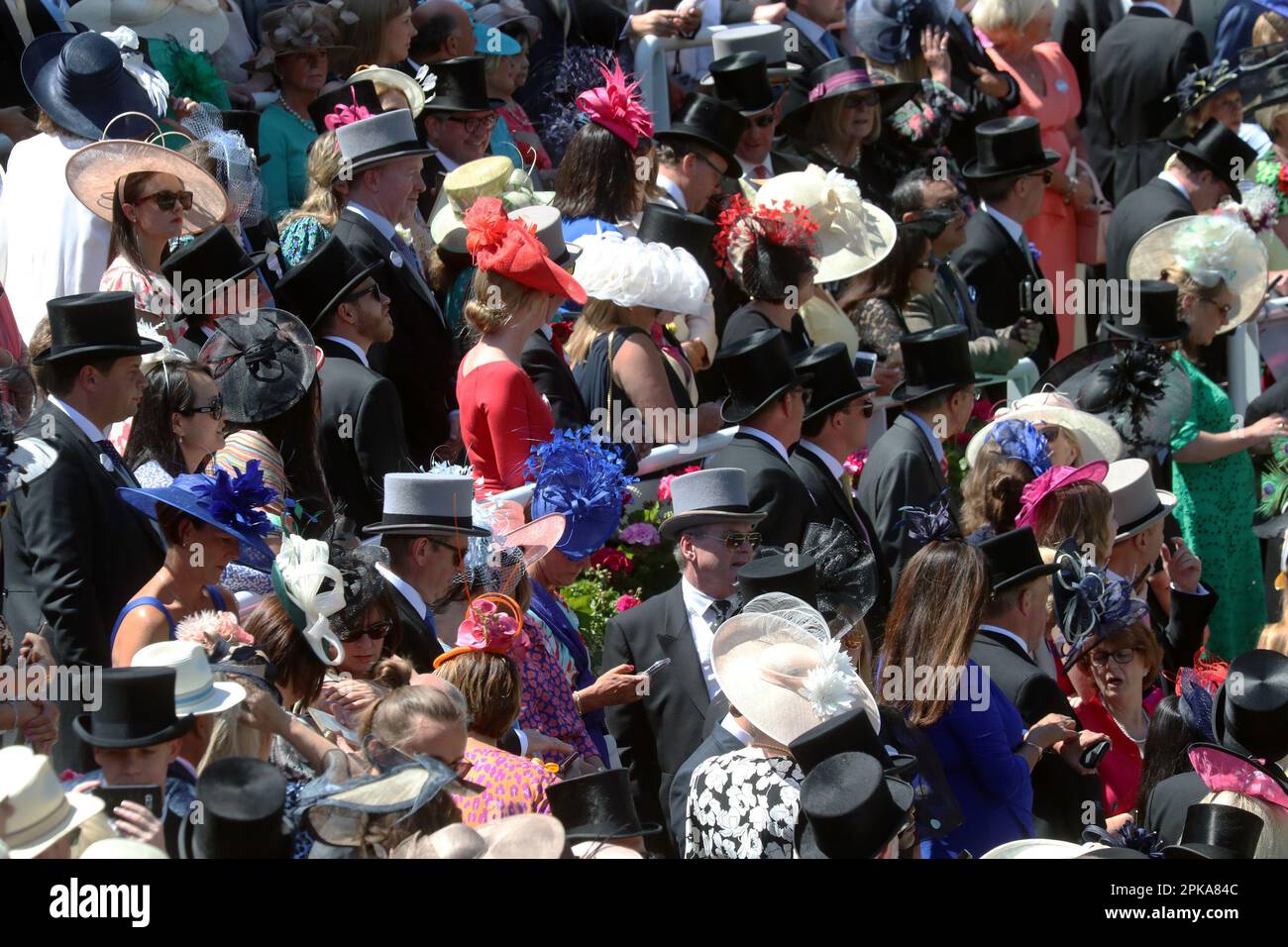 Horse racing windsor racecourse hi-res stock photography and images - Alamy