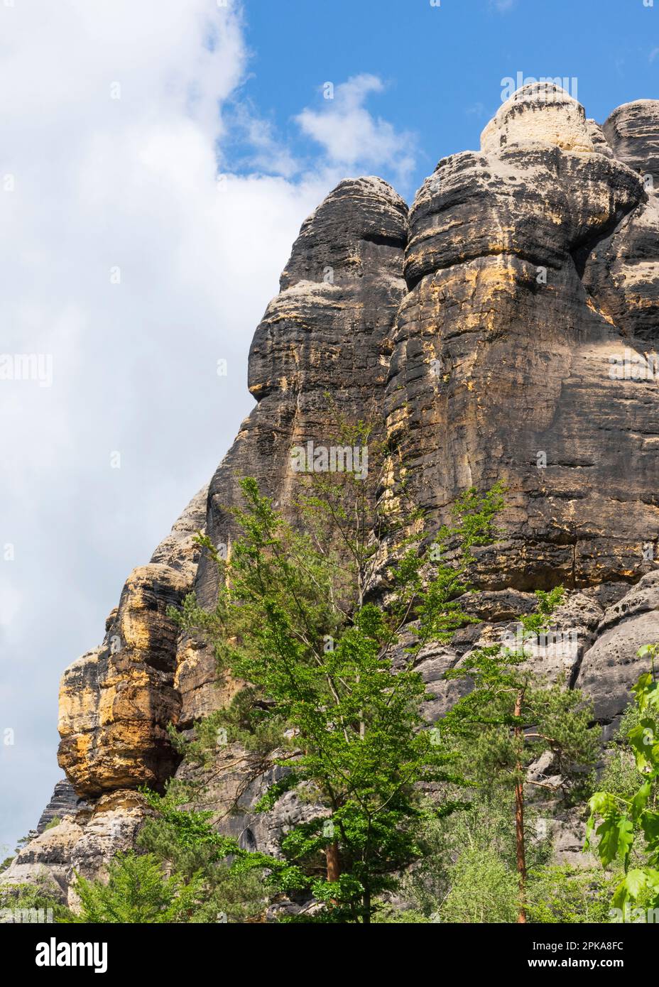 Elbe Sandstone Mountains Saxon Switzerland: Schrammsteine Stock Photo ...
