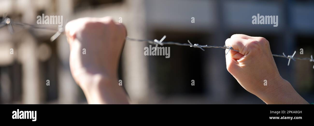 Female hands holding security barbedwire fence, wire with clusters of ...