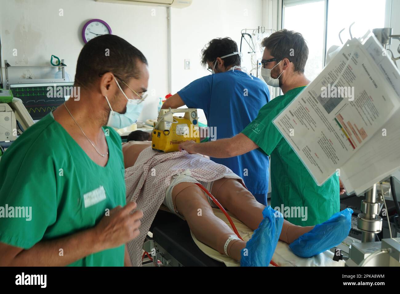 Training of medical interns in the ECMO technique, Extracorporeal ...