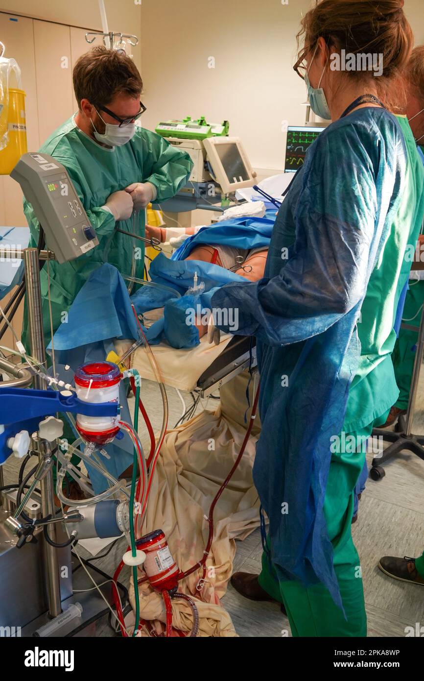 Training of medical interns in the ECMO technique, Extracorporeal ...