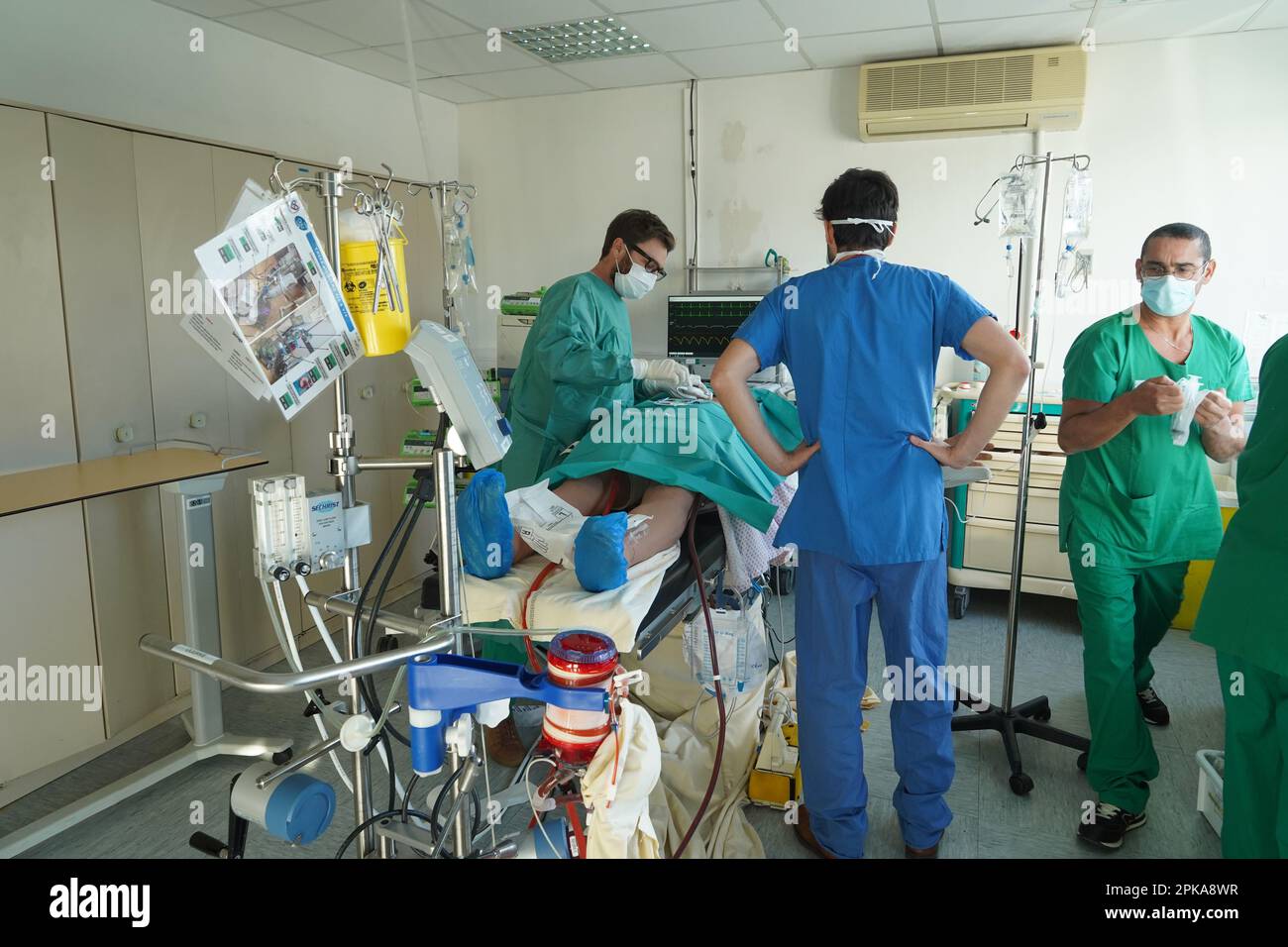 Training of medical interns in the ECMO technique, Extracorporeal ...