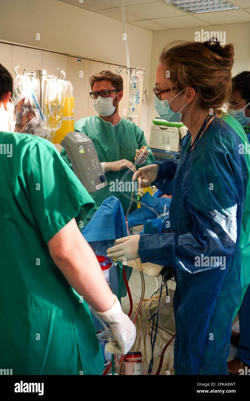 Training of medical interns in the ECMO technique, Extracorporeal ...