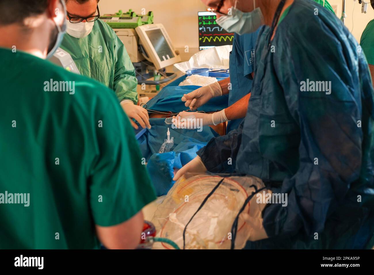 Training of medical interns in the ECMO technique, Extracorporeal ...